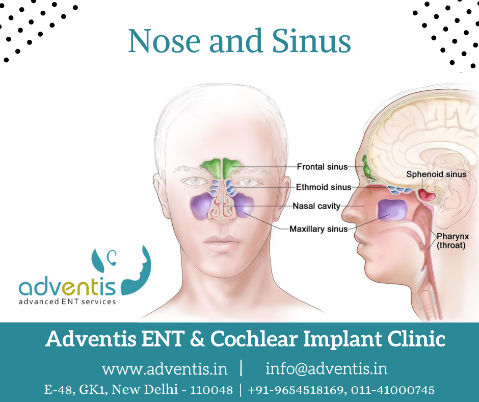 Best Nose & Sinus Rhinology Surgery in Delhi - Treatment Cost | Adventis