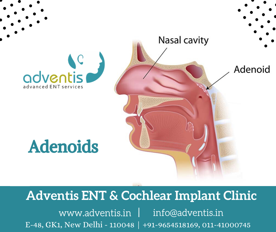 Adenoid Anatomy Tonsil And Adenoid Anatomy: Overview, Gross Anatomy,